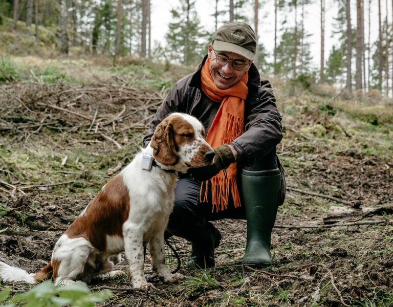 The current Prime Minister of Sweden – MrsSwede – A Blog About Sweden ...